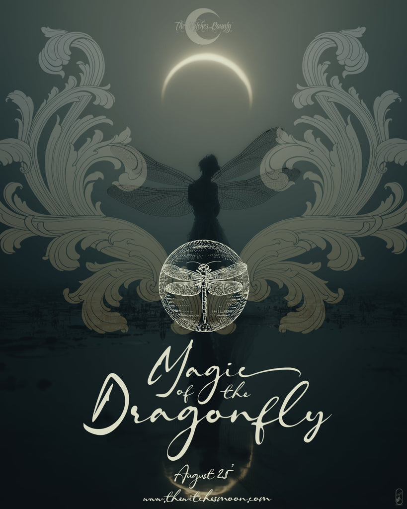 The Witches Bounty™ ~ Magic of the Dragonfly ~ August 2025 – www ...