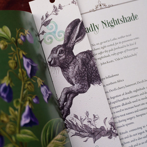 The Mystic Hare Bookmark – www.thewitchesmoon.com