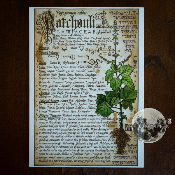 Patchouli Book of Shadows Artwork – www.thewitchesmoon.com